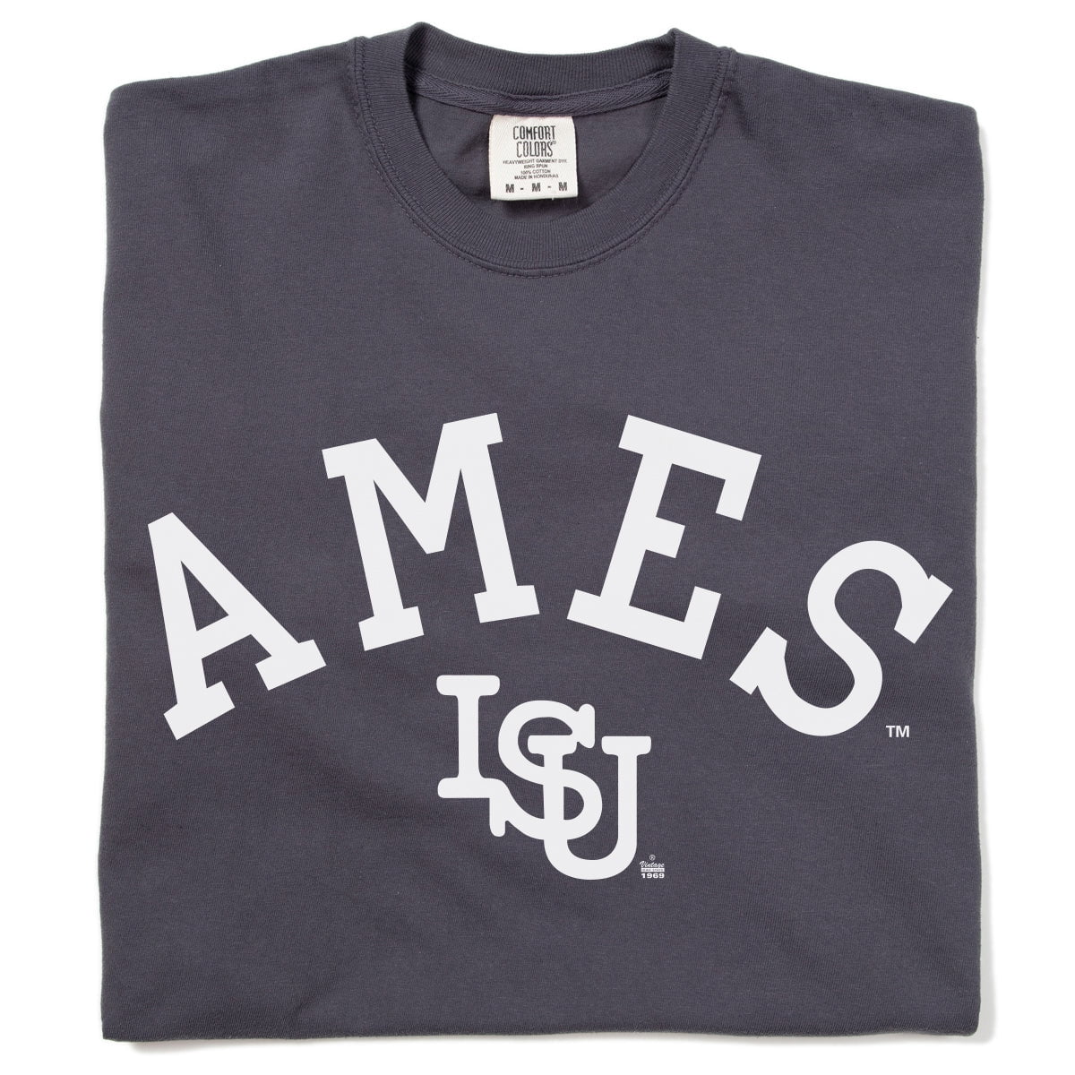 Ames Curved Logo Heavyweight Charcoal Graphic Tee TShirt Gift - Walmart.com