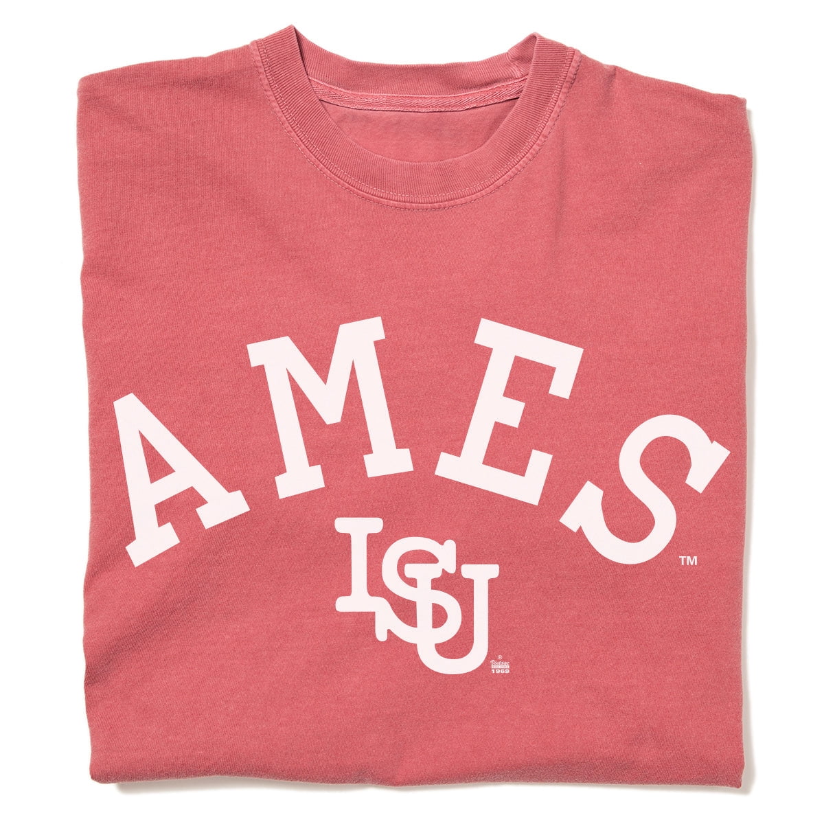 Ames Curved Logo Heavyweight Red TShirt Trending Tee Best Gift Shirts ...