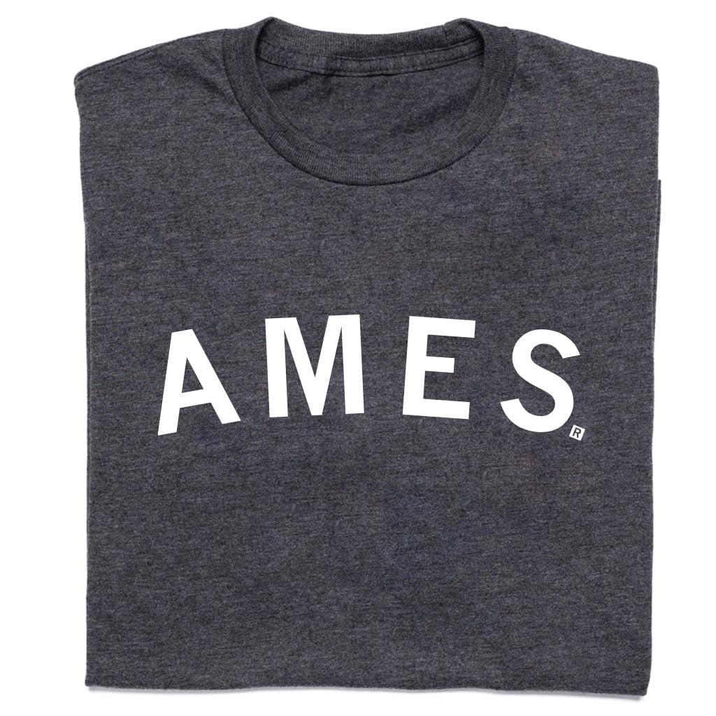 Ames Curved Logo TShirt Trending Tee Best Gift Shirts - Walmart.com