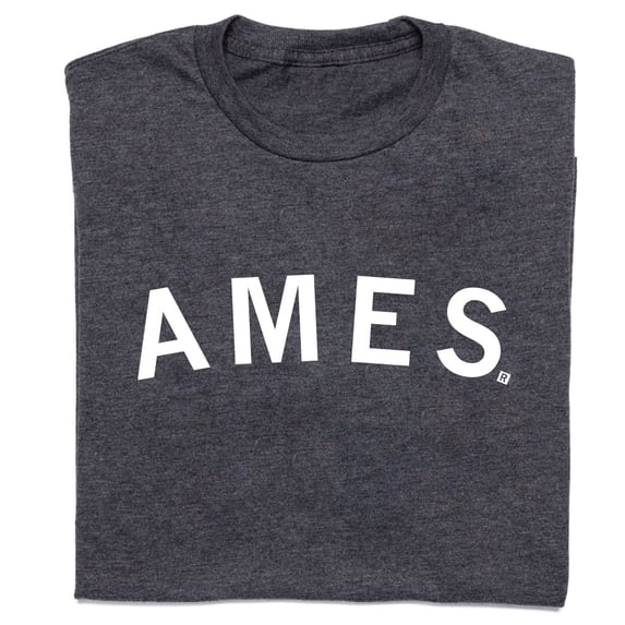 Ames Curved Logo TShirt Trending Tee Best Gift Shirts - Walmart.com