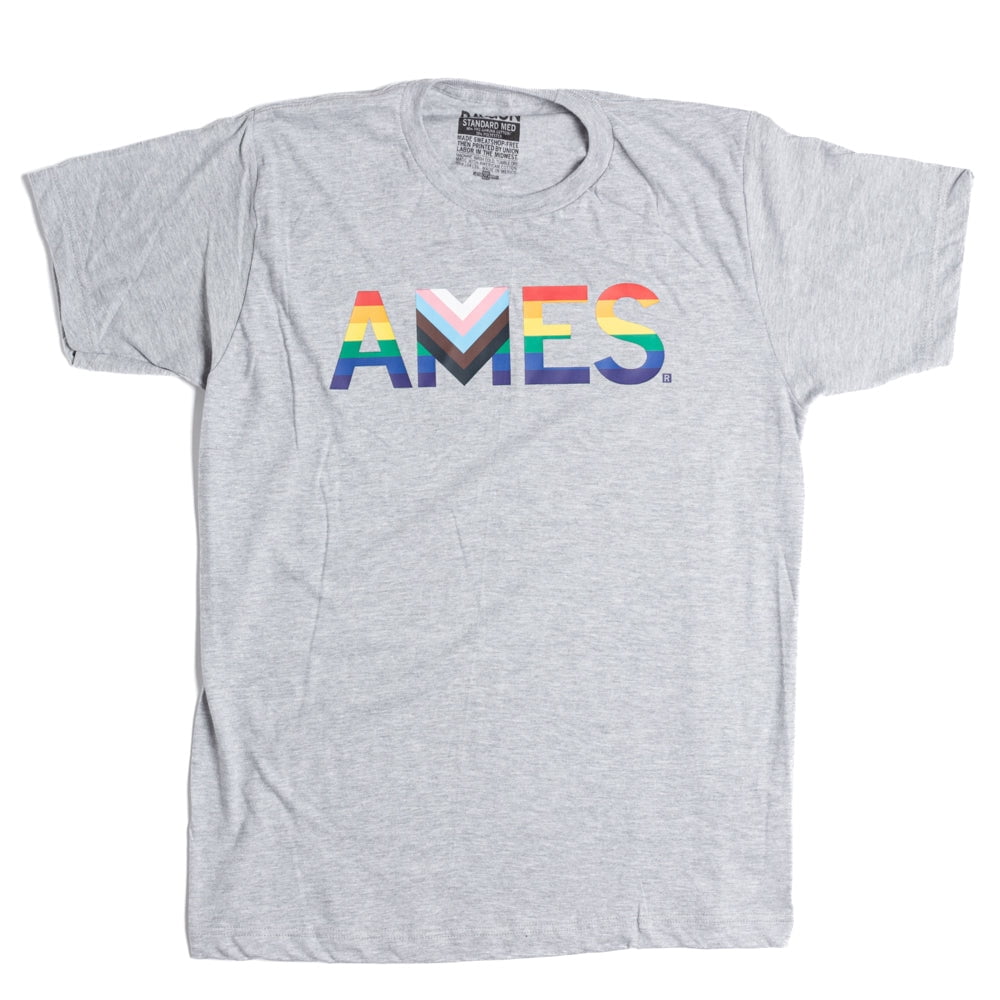 Ames Text Progress Pride Flag Graphic Tee TShirt Gift - Walmart.com