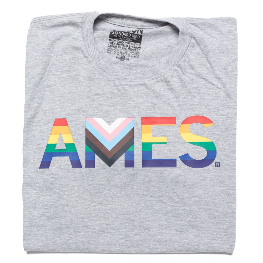 Ames Text Progress Pride Flag TShirt Trending Tee Best Gift Shirts ...
