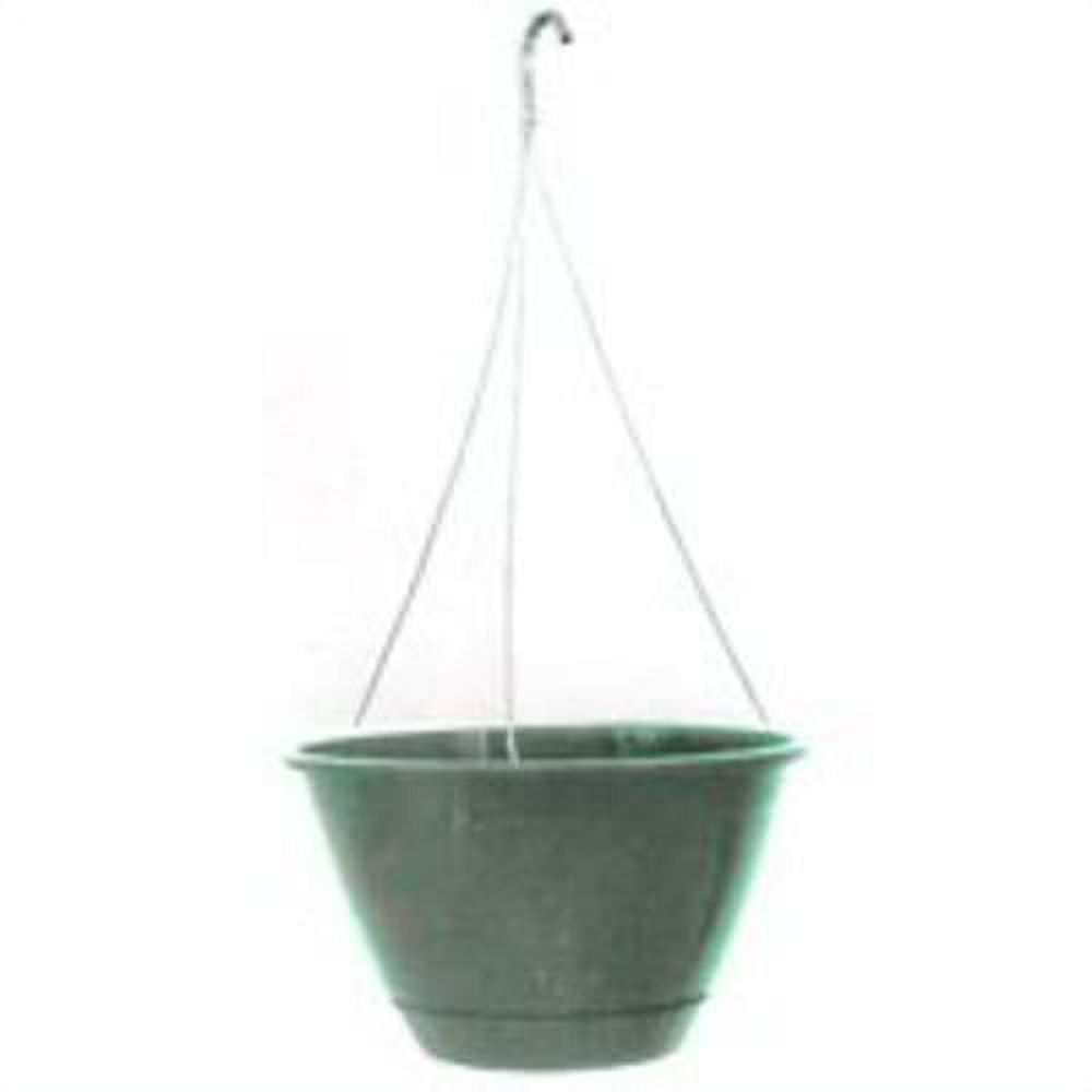 Ames/True Temper EE1025FE Hanging Basket With Hanger, Fern, Each ...