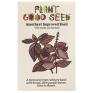 Seedville USA, 500 Dark Opal Basil Seeds, Purple Ruffles Leaves, Herb ...