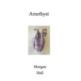 Amethyst, (Paperback) - Walmart.com