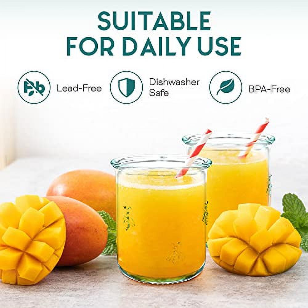 Amici Home Regina DOF Glass | 12 Oz | Italian Made, Recycled Green ...