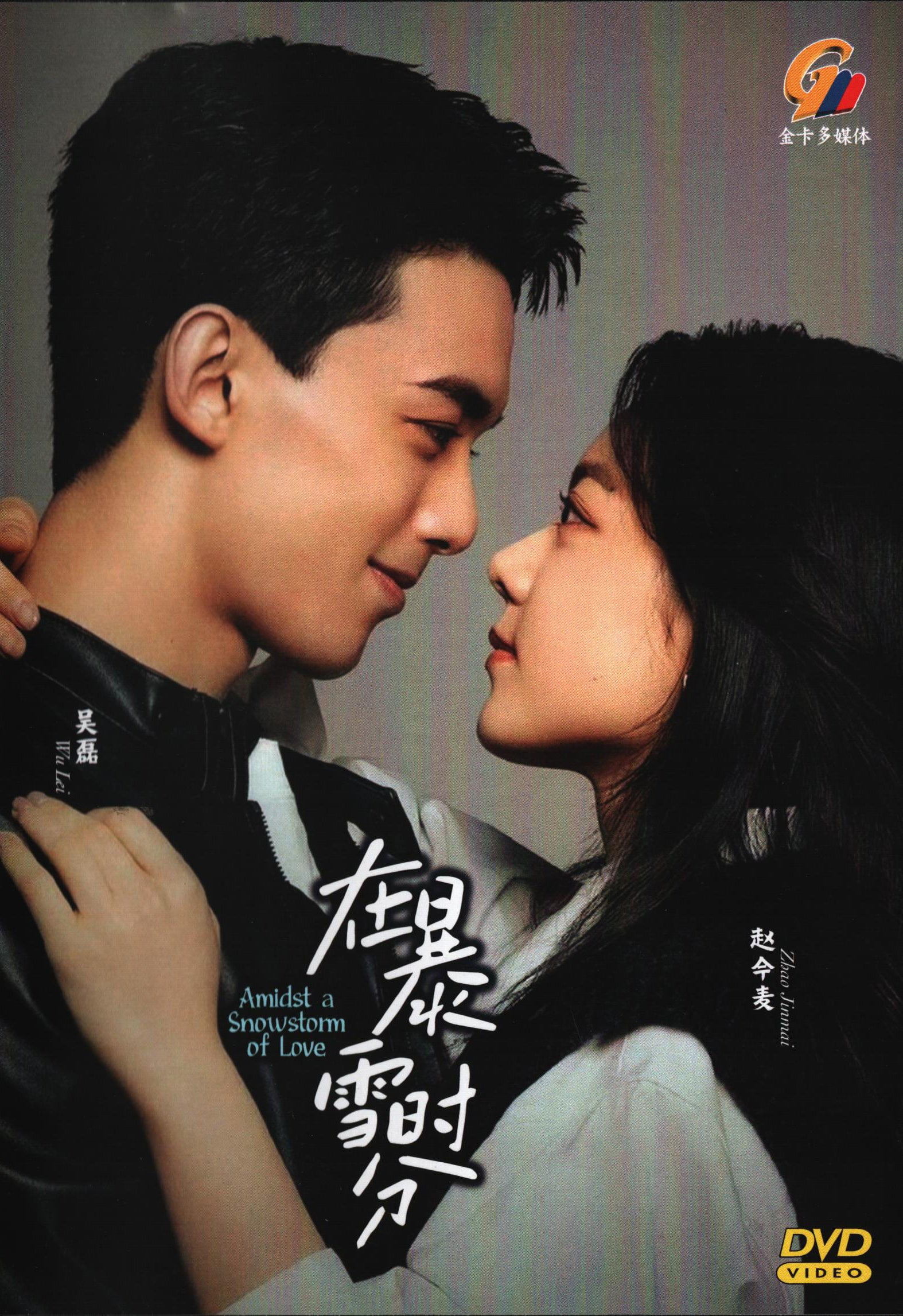 Amidst a Snowstorm of Love Chinese Drama TV Series DVD -English ...