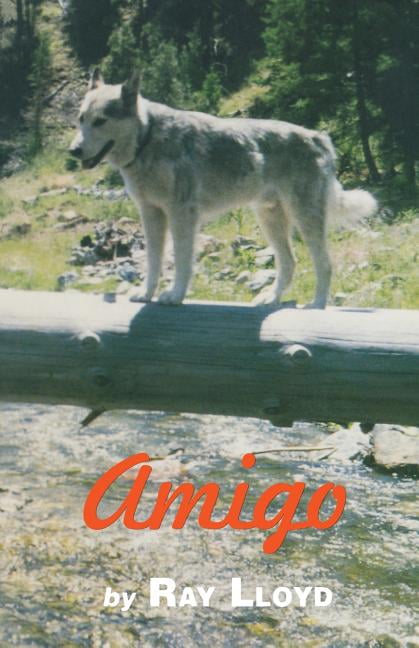 Amigo (Paperback) - Walmart.com