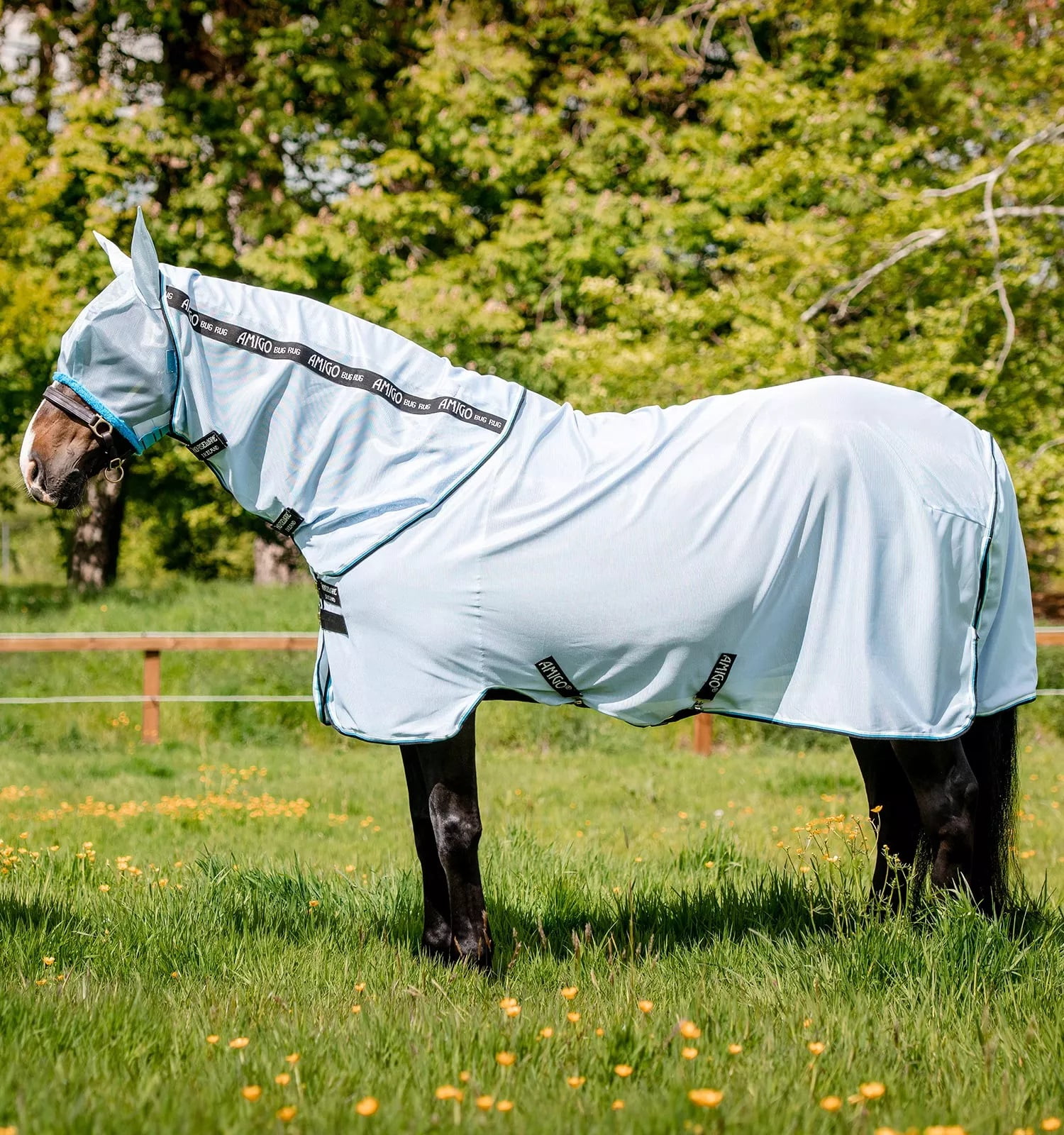 Amigo® Bug Rug Flysheet (No fill) (81", Azure Blue/Black, White & Blue ...