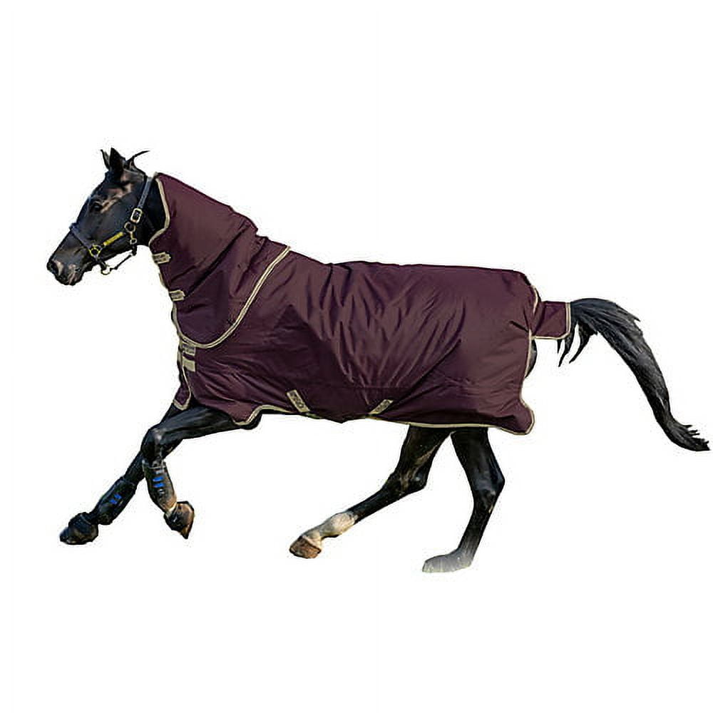 Amigo Hero Ripstop Plus 100g 78 Burgundy Fig/Navy - Walmart.com