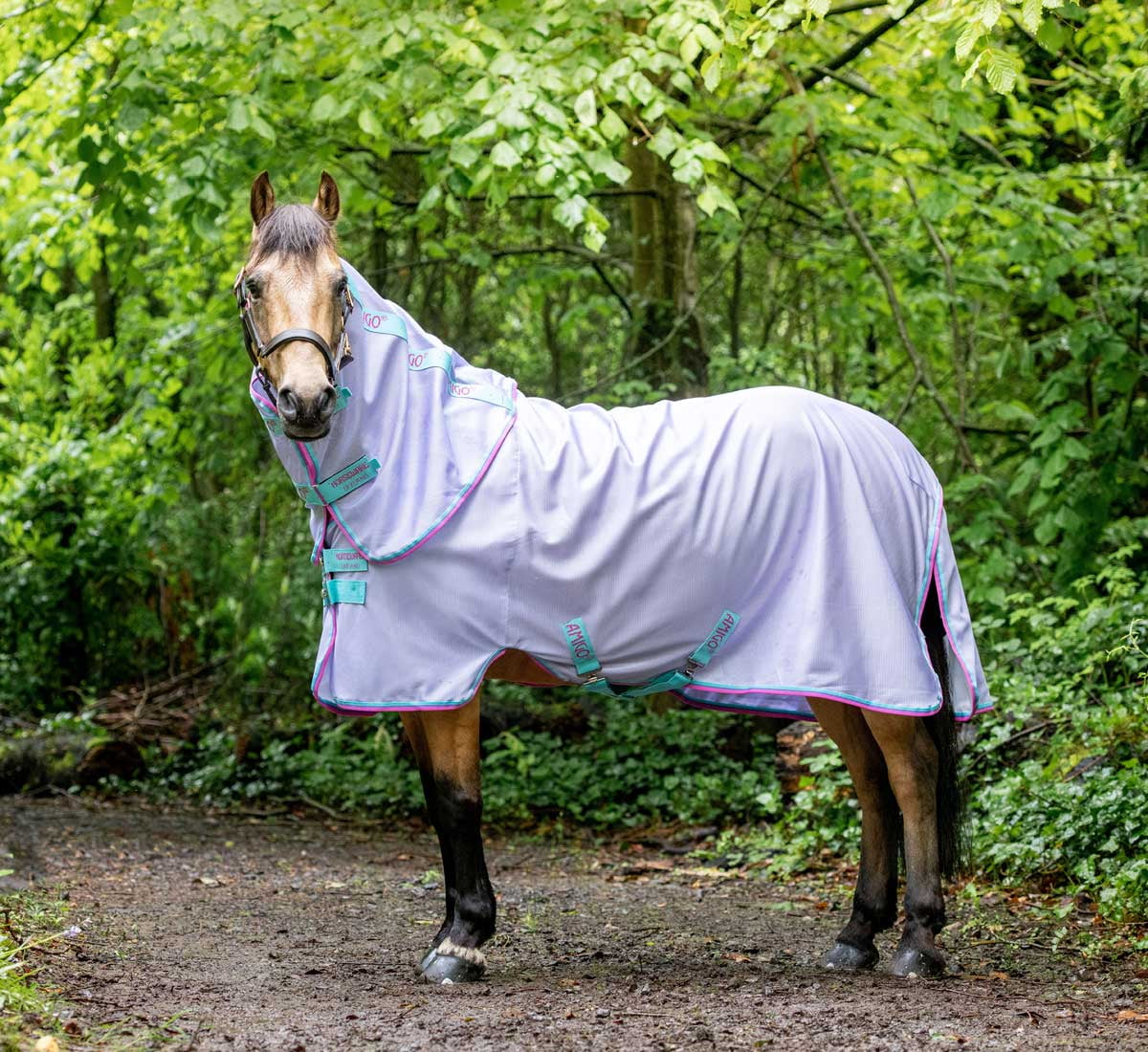 Amigo Pony Bug Rug Fly Sheet (No Fill, Hood), Lavender (Capri/Raspberry ...
