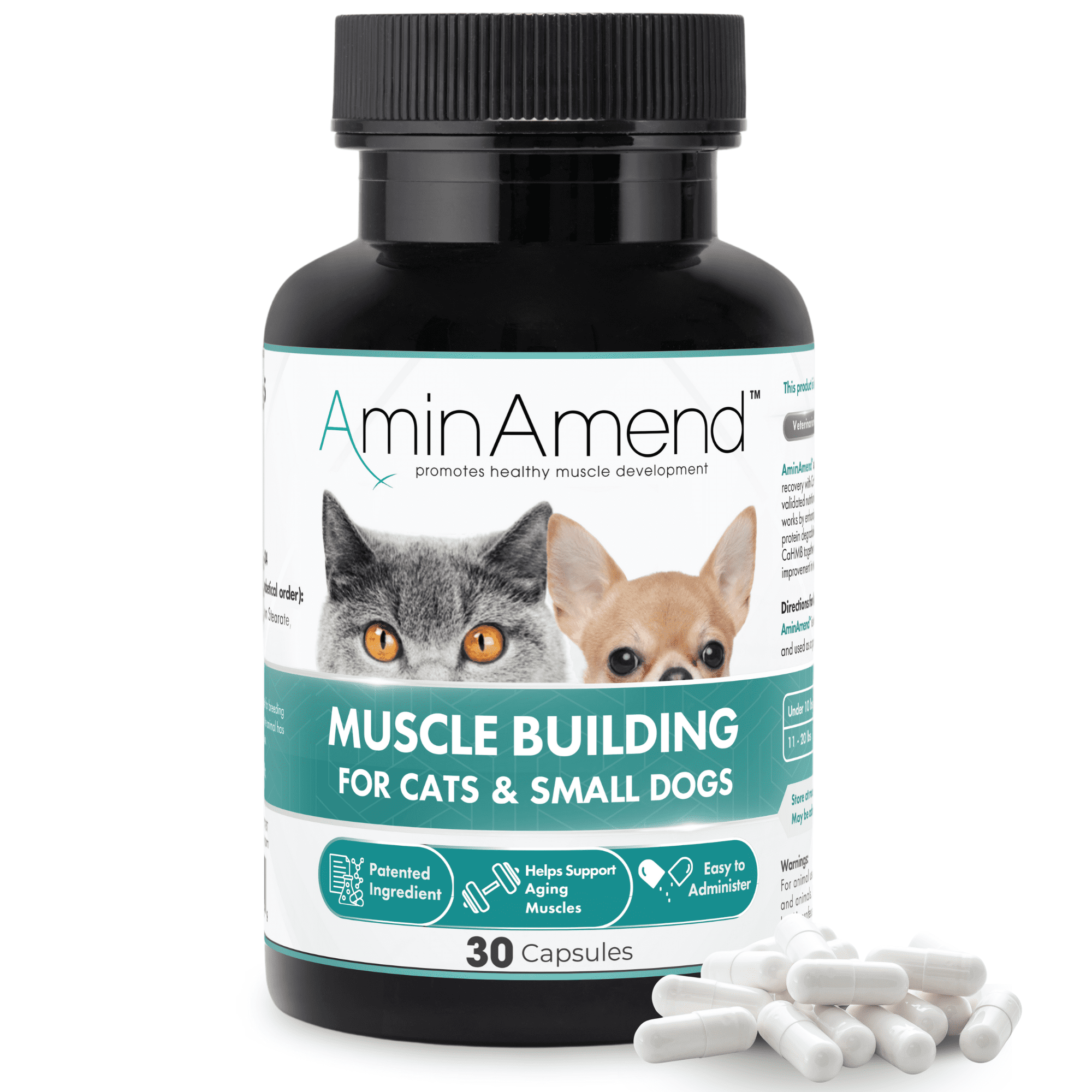 AminAmend Muscle Support Pet Supplement for Small Dogs & Cats with CaHMB & Vitamin D3 – All Ages ...