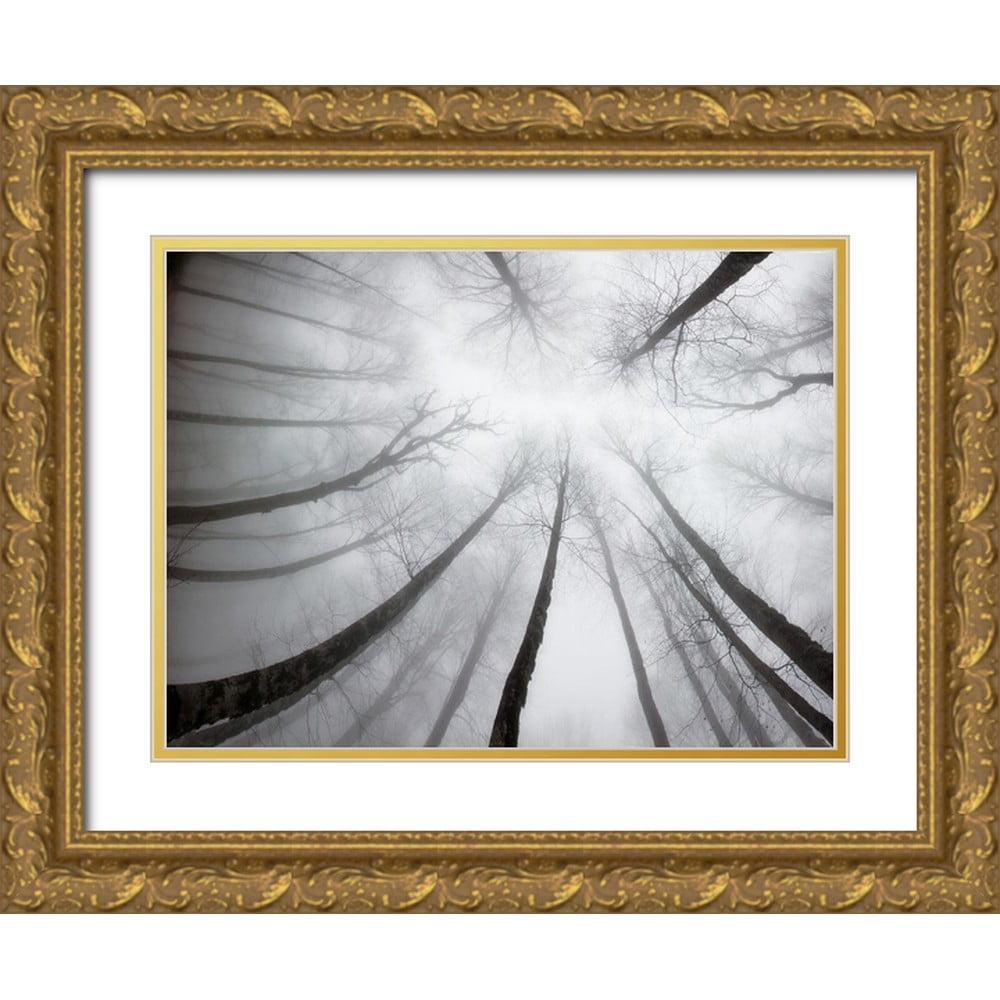 Aminelahi, Armin 24x19 Gold Ornate Wood Framed with Double Matting ...