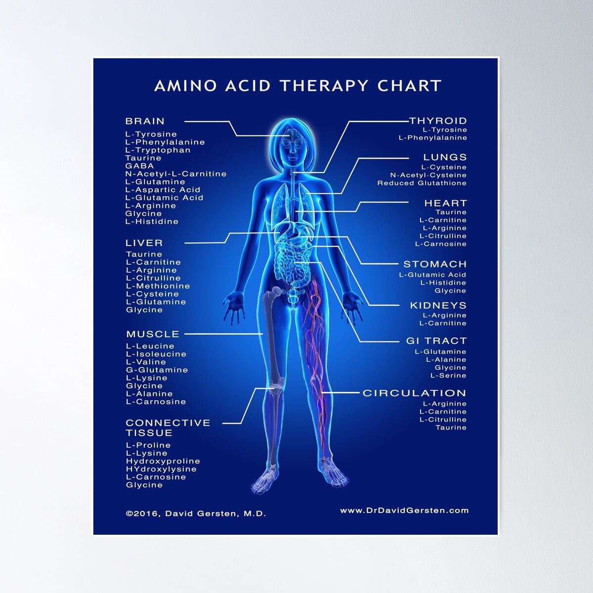 Amino Acid Therapy Chart Poster Wall Art, Modern Wall Decor For Living ...