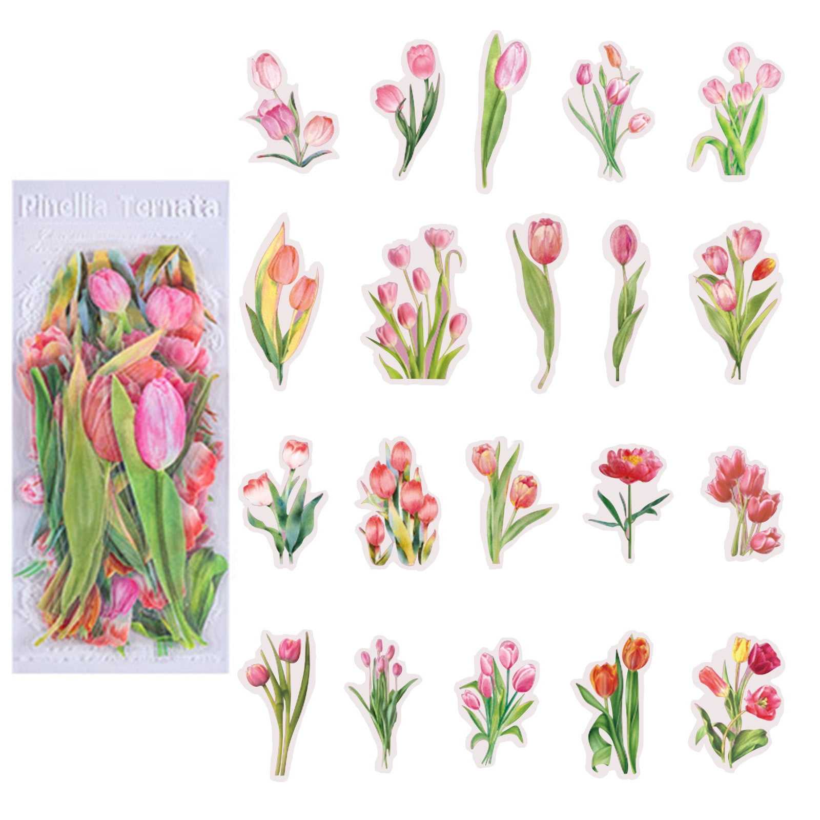 Aminojy Aesthetic PET Stickers for Journaling , Green Nature Themed ...