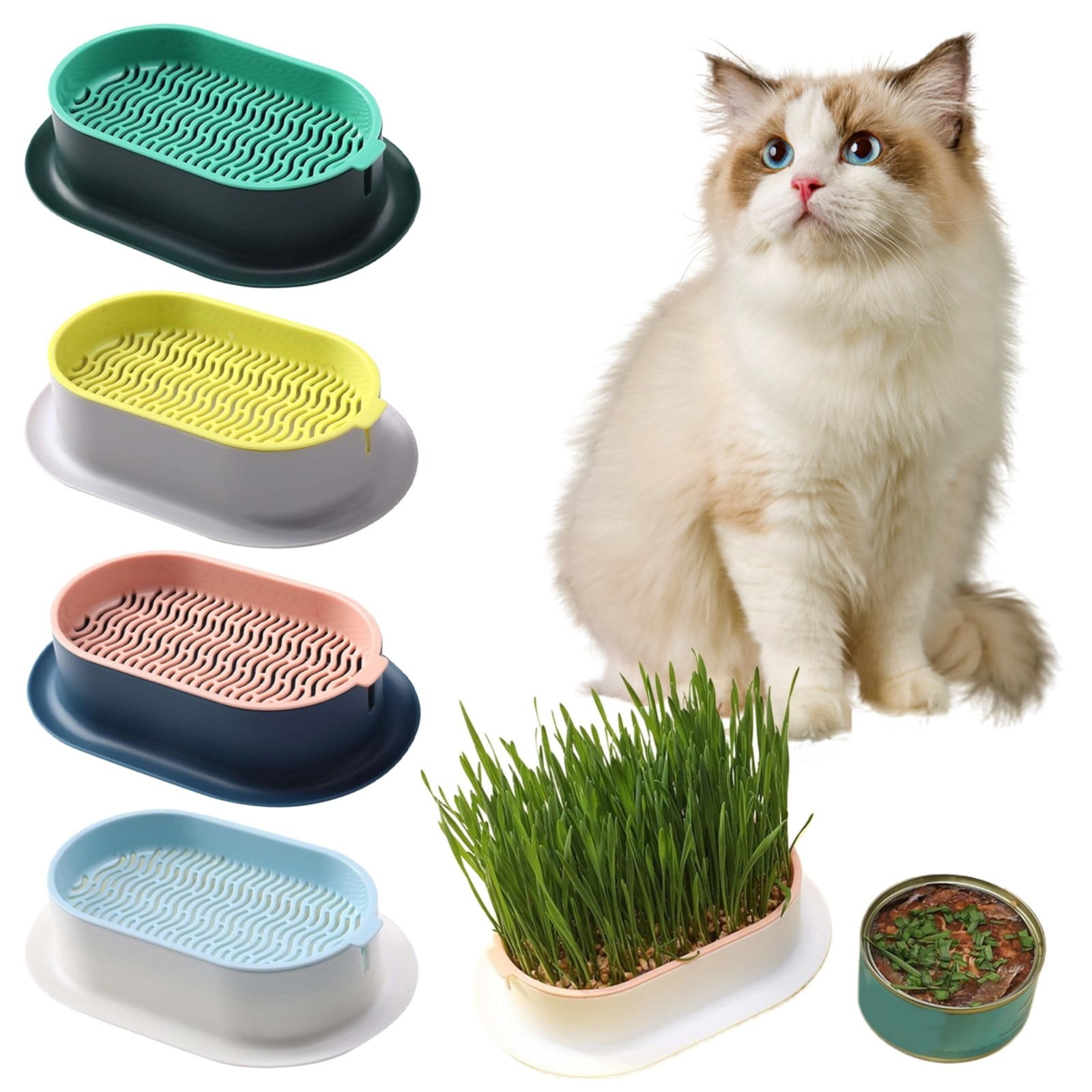 Aminojy Hydroponic Cat Grass Growing Kit - Indoor Self-Watering Planter ...