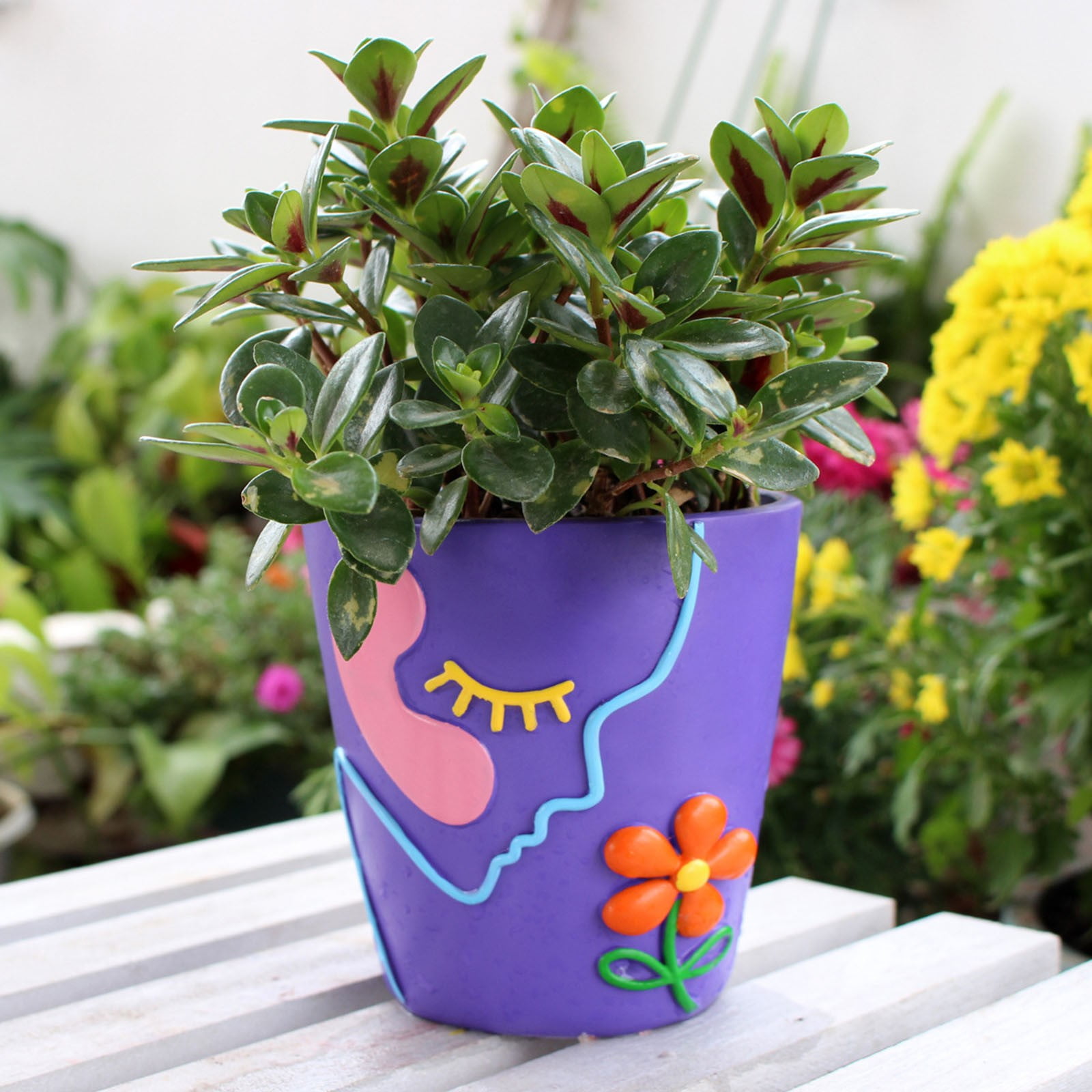Aminojy Indoor Plant Pots Abstract Rainbow Head Planter Unique Face ...