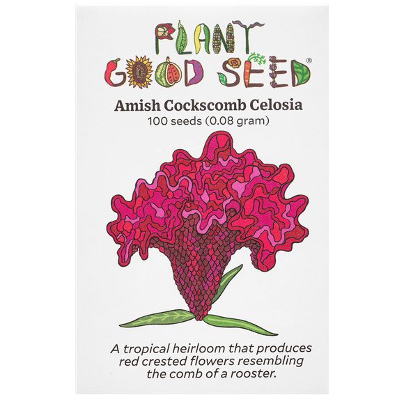 Shop Vibrant Cockscomb Seeds for Your Garden Patio and Landscape