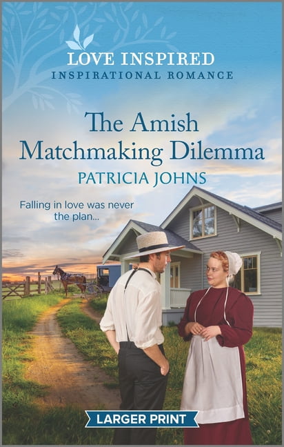 Amish Country Matches The Amish Matchmaking Dilemma: An Uplifting ...