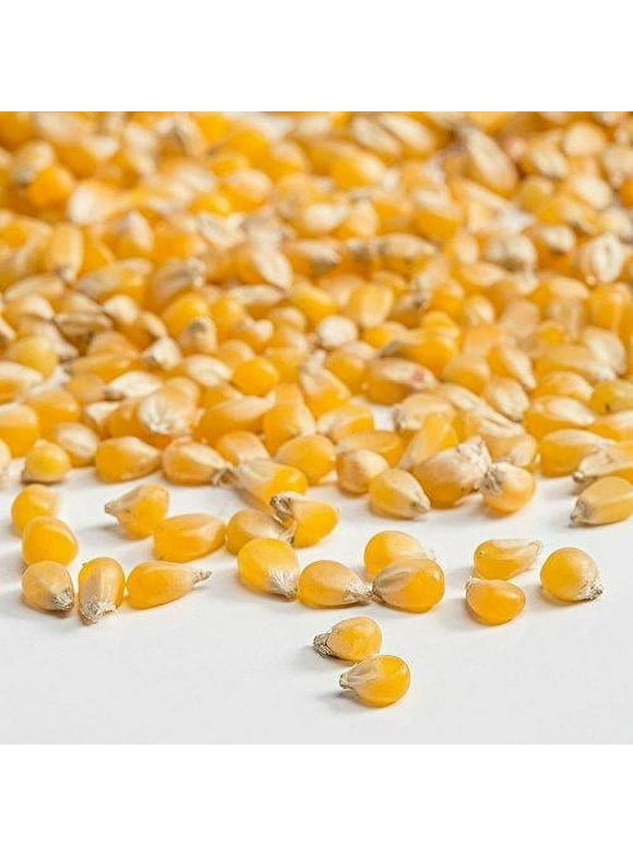 Amish Country Popcorn in Popcorn - Walmart.com