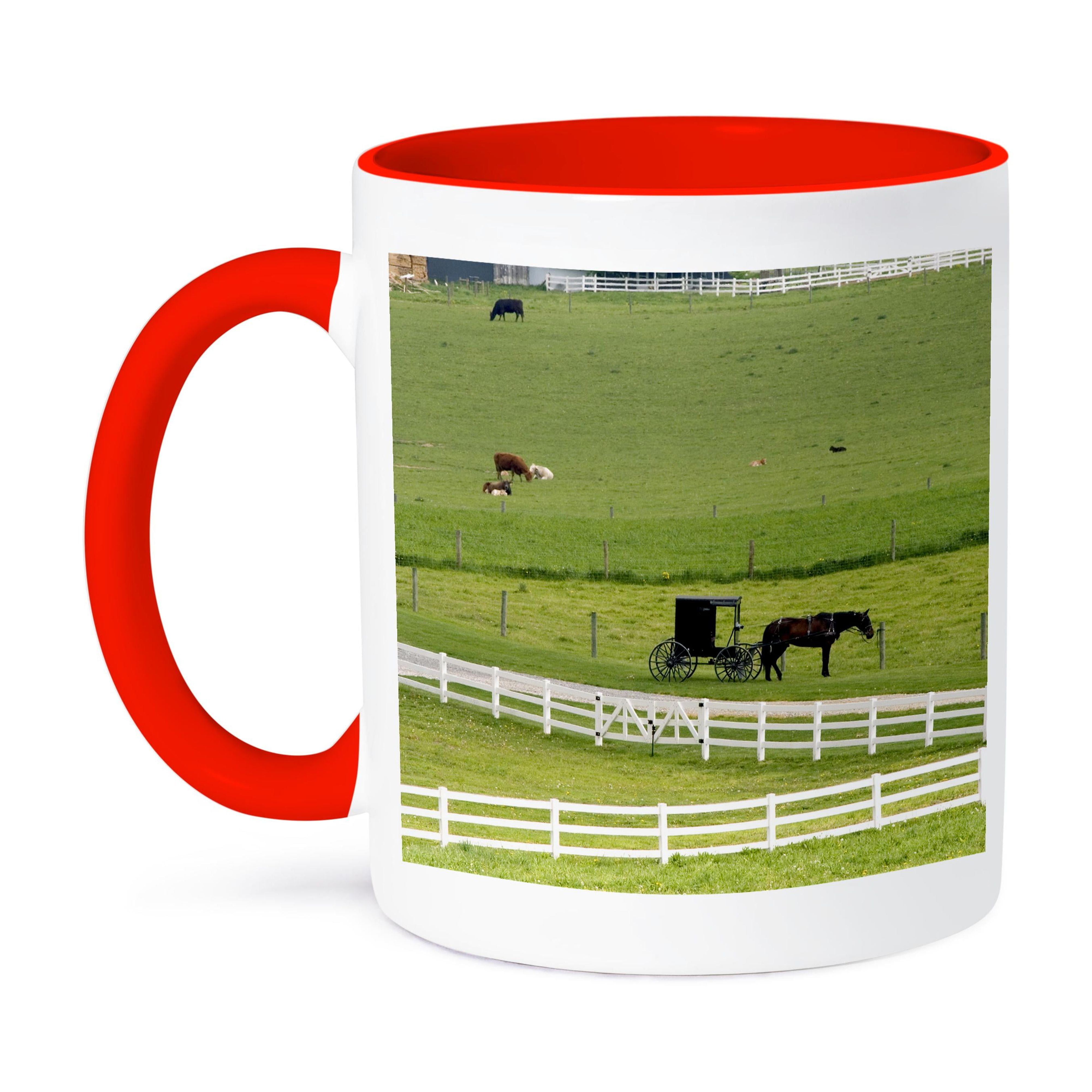 3dRose, Amish farm with horse buggy near Berlin, Ohio - US36 DFR0008 ...