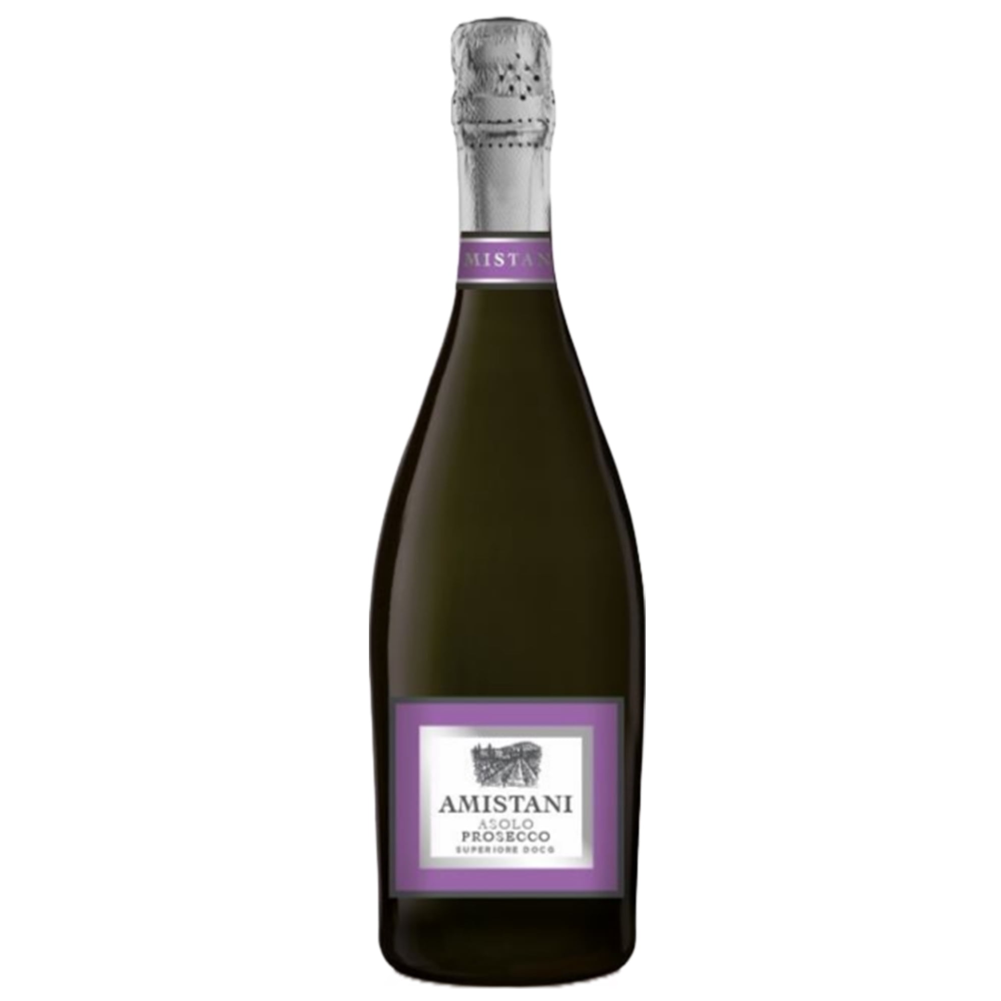 Amistani Prosecco Superiore DOCG Extra Dry 750ml Bottle - Walmart.com