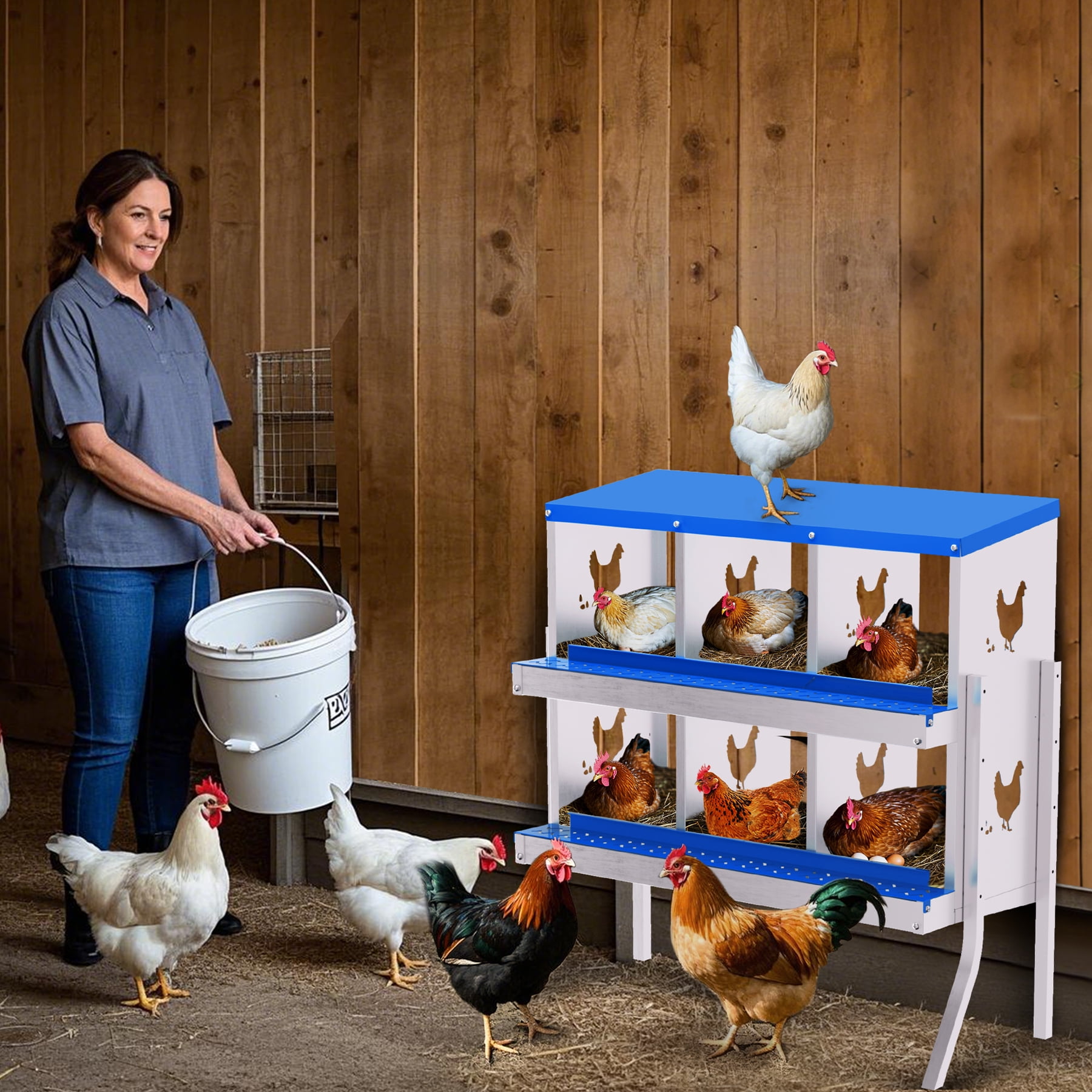 Amkui Laying Hen Nesting Boxes for Chickens, 6/8/10 Compartment Metal ...