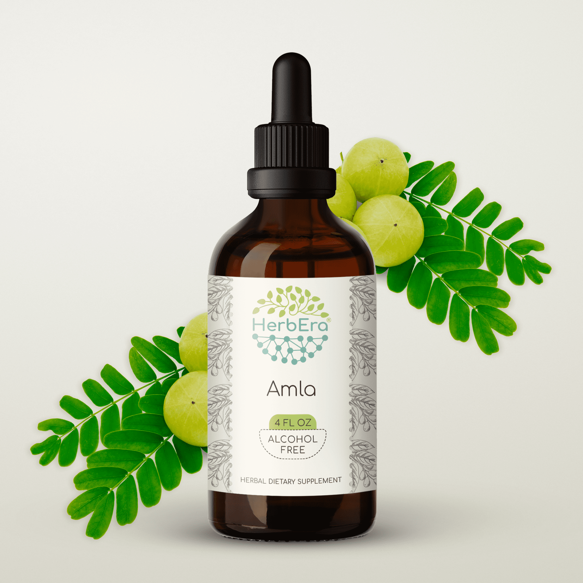 Amla Alcohol-FREE Herbal Extract Tincture, Super-Concentrated Amla ...