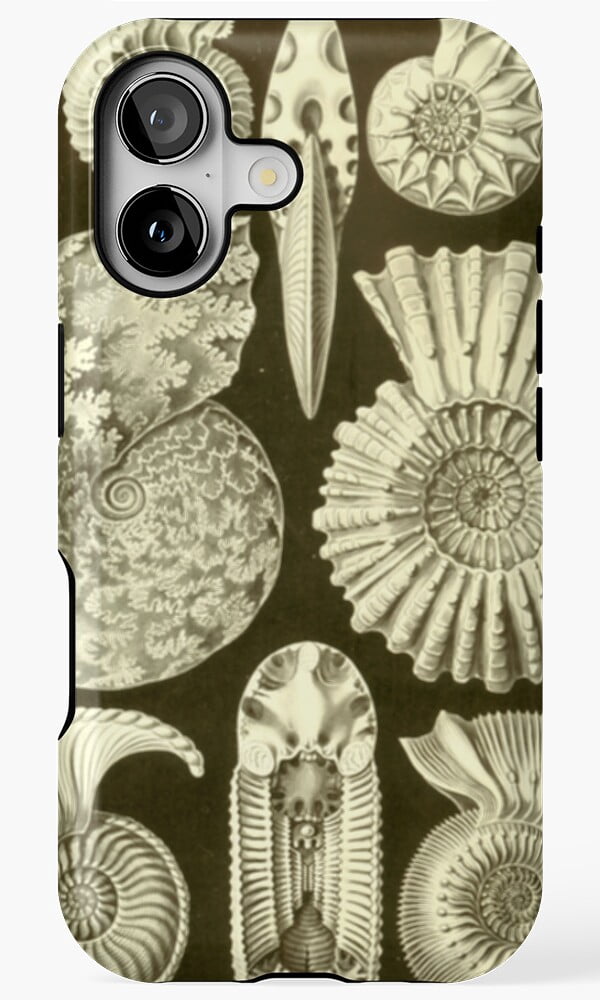 Ammonite Fossils Vintage Geology Science Art Phone Case for iPhone 11 ...