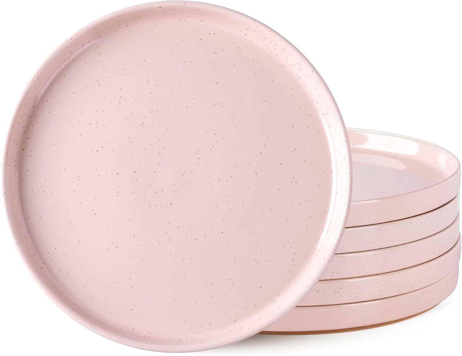 AmorArc Ceramic Dinner Plates Set of 6, 10.25 Inch Stoneware Plates for ...