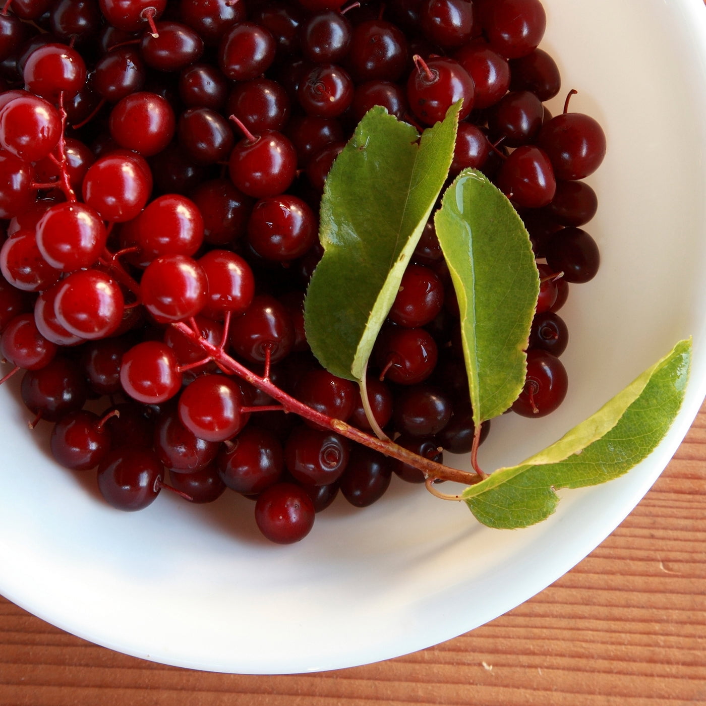 Amoretti - Chokecherry Compound 8 oz - Natural Flavors, Shelf Stable ...