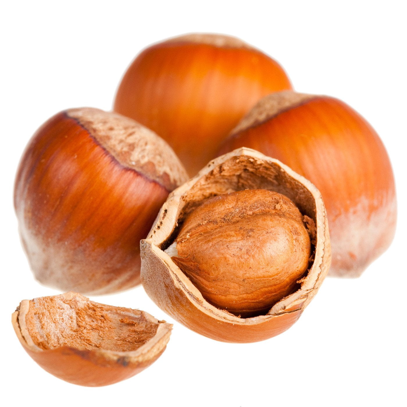 Amoretti - Hazelnut Pralinosa - Dark Roasted, Ultra Smooth Natural ...