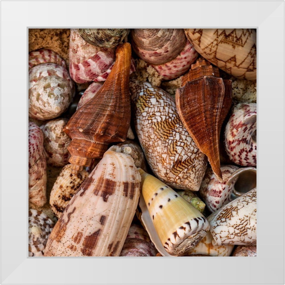 Amos, Andy 20x20 White Modern Wood Framed Museum Art Print Titled ...