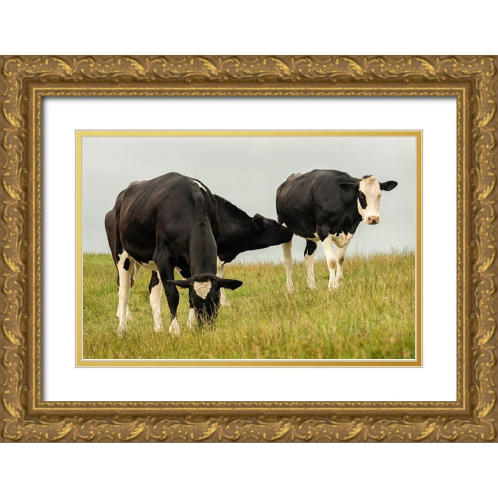Amos, Andy 32x23 Gold Ornate Wood Framed with Double Matting Museum Art ...