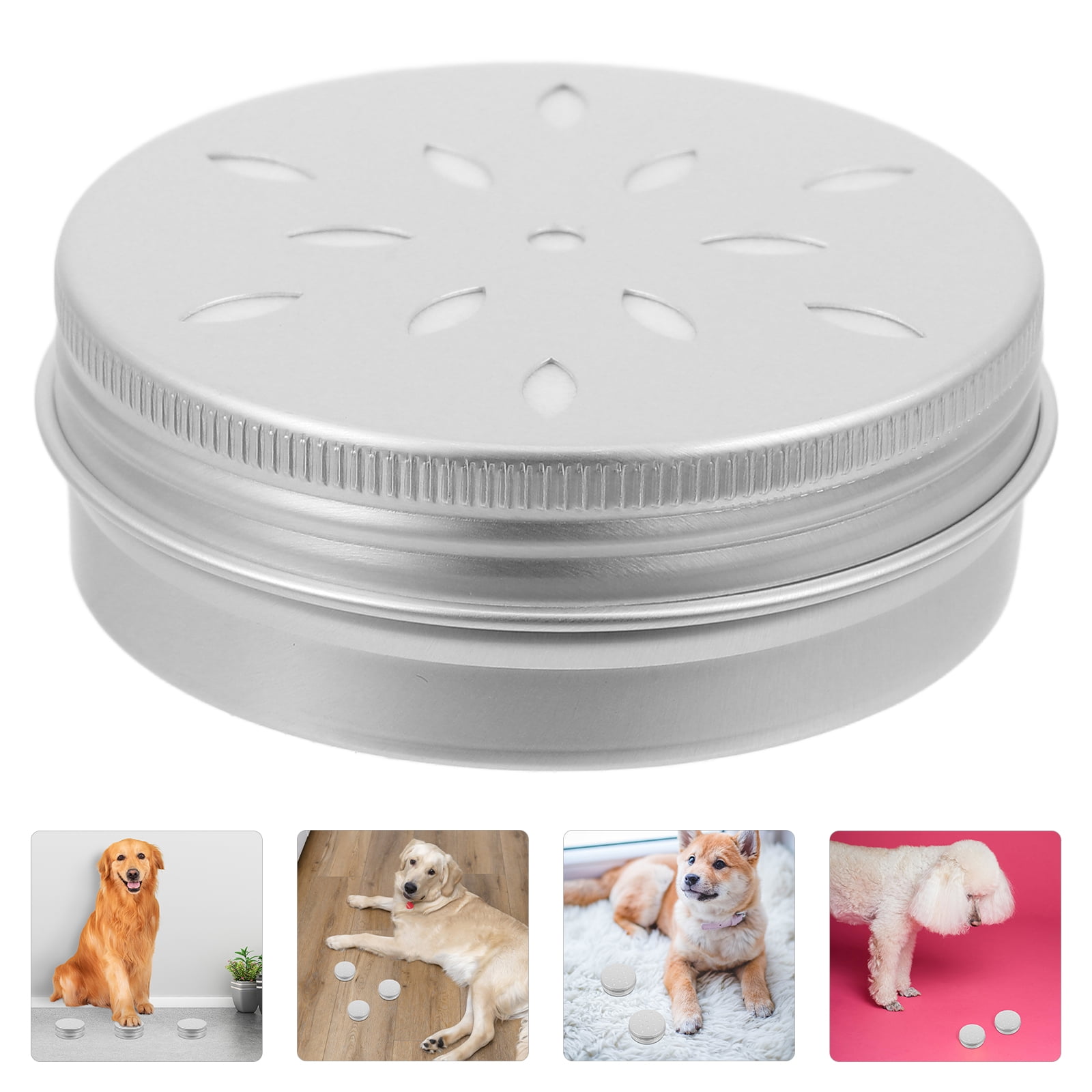 Amosfun-10Pcs Dog Scent Training Cases - Odor Container for Canine ...