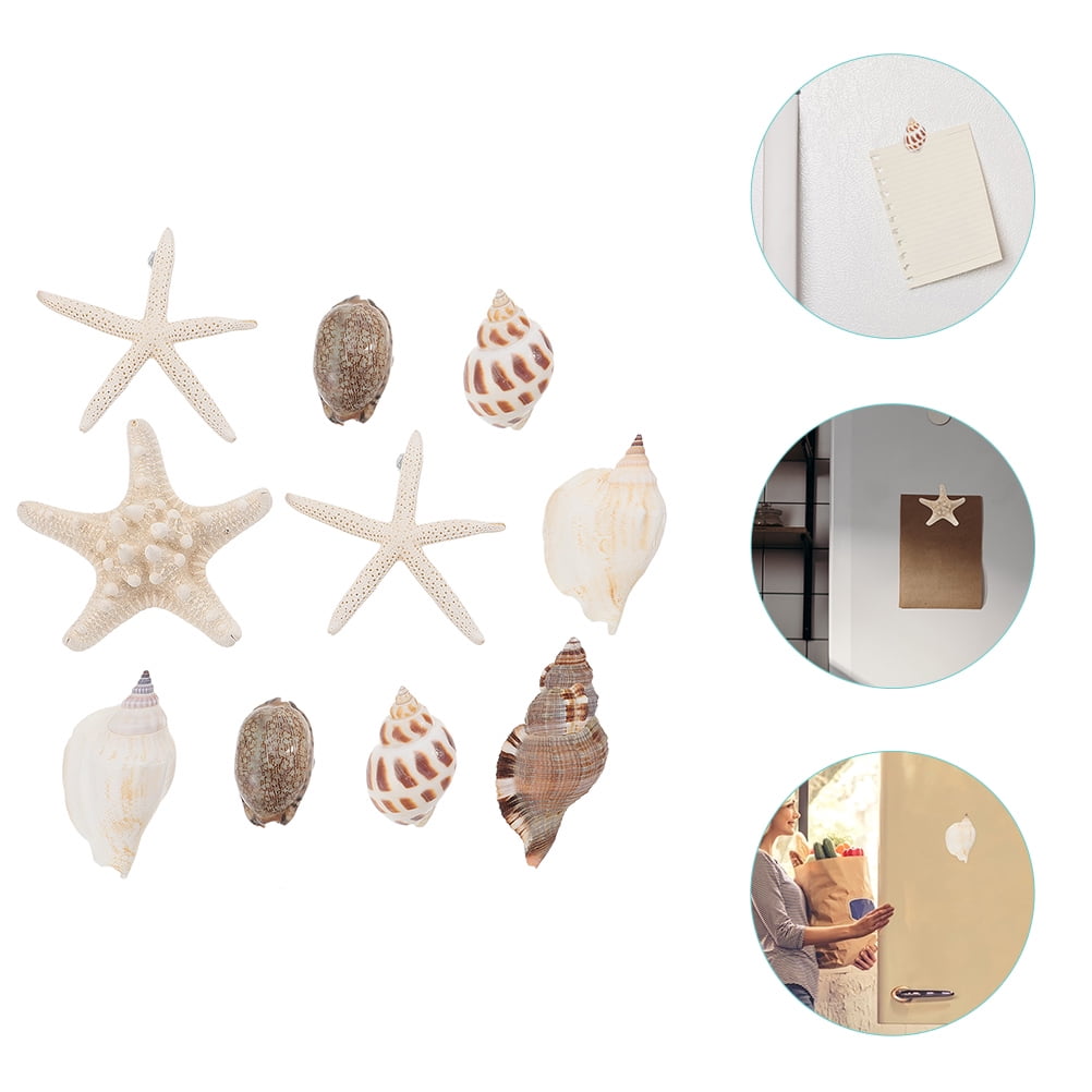 Amosfun 10Pcs Refrigerator Magnet in Random Color for Posting Photos ...