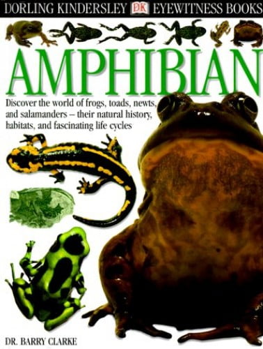 Pre-Owned Amphibian: Discover the World of Frogs, Toads, Newts, and ...