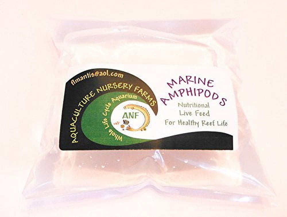 Amphipods Plus 16oz Bag of Live Tisbe copepods. (100 cnt) - Walmart.com