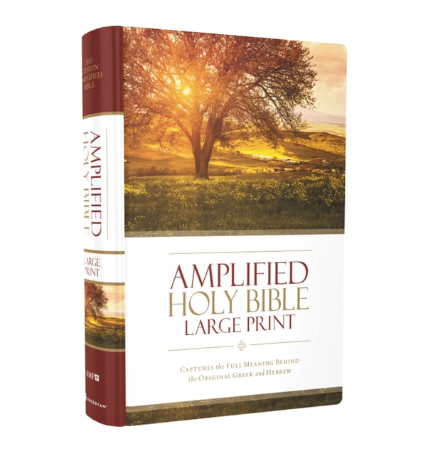 Zondervan Amplified Bible-Am-Large Print: Clear Word Print for Easy ...