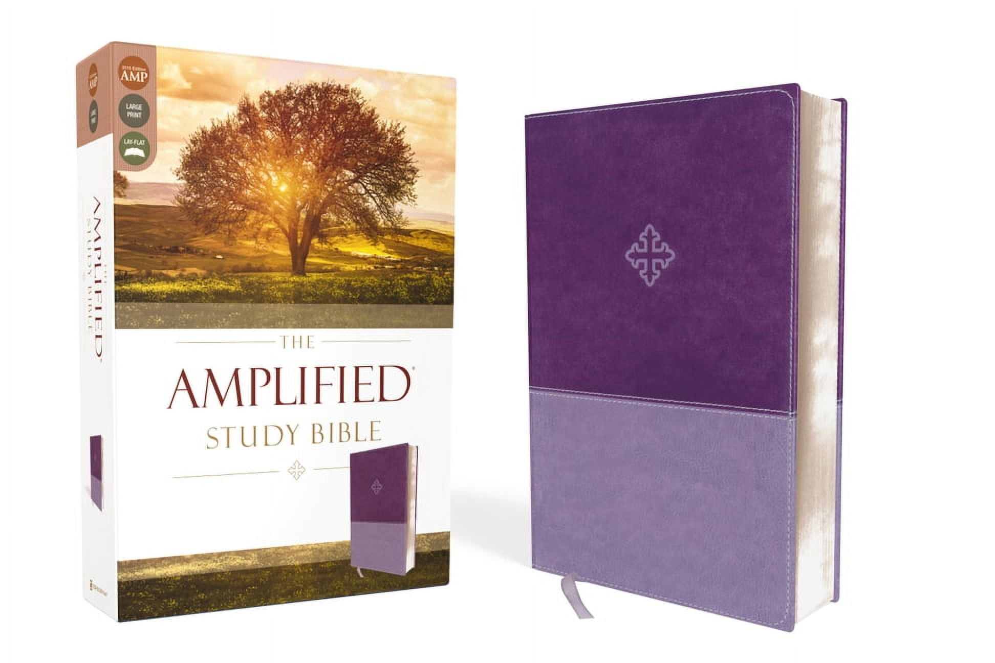 Amplified Study Bible, Imitation Leather, Purple, (Hardcover) - Walmart.com