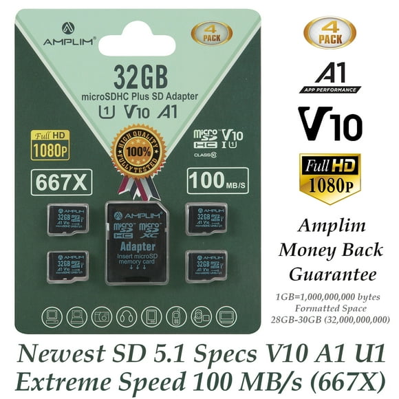 32GB Micro Class 10 SD Cards