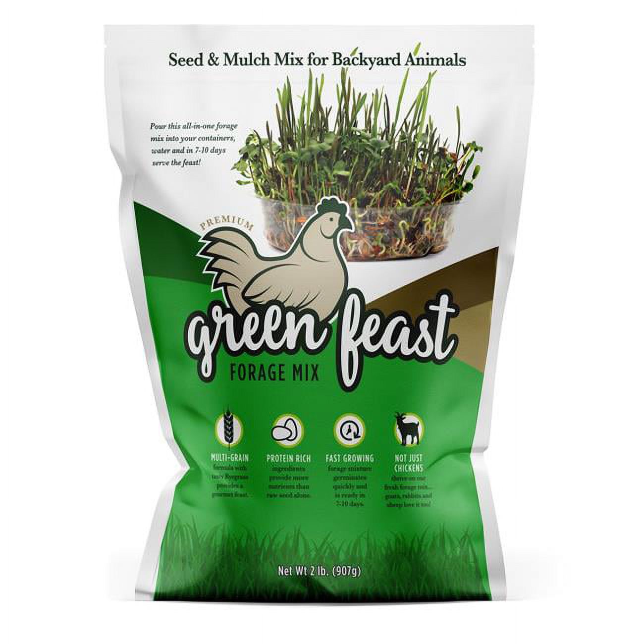 Amturf 5040016 2 lbs Green Feast Forage Seed & Mulch Mix - Master Pack ...