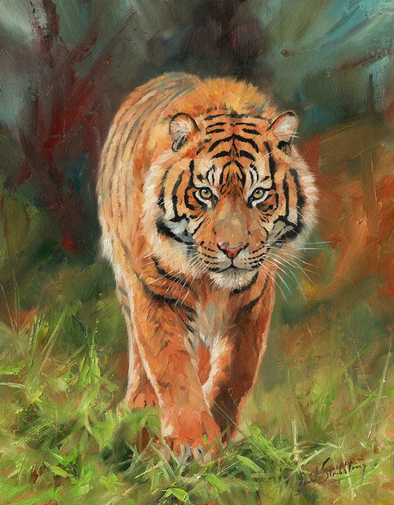 Amur Tiger 2 Poster Print - David Stribbling (18 x 24) - Walmart.com