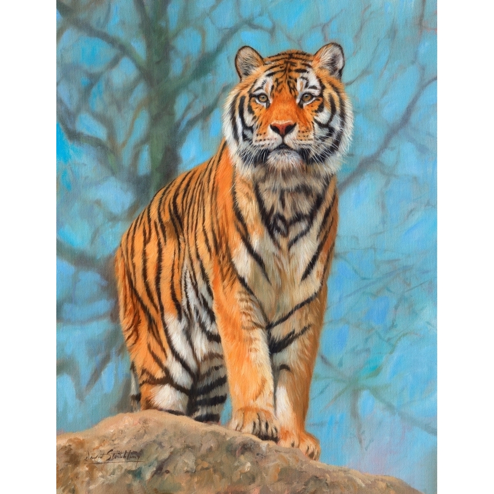 Amur Tiger Guard Poster Print by David Stribbling (24 x 32) - Walmart.com