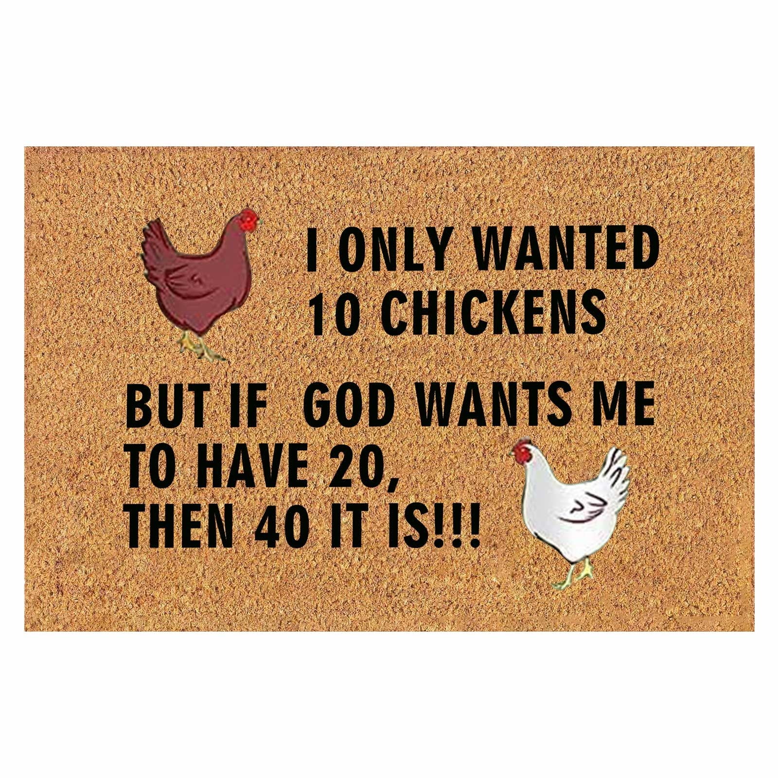 Amusing Welcome Door Mat Summer Door Mats Coir Mat Slogan Doormats ‘I ...