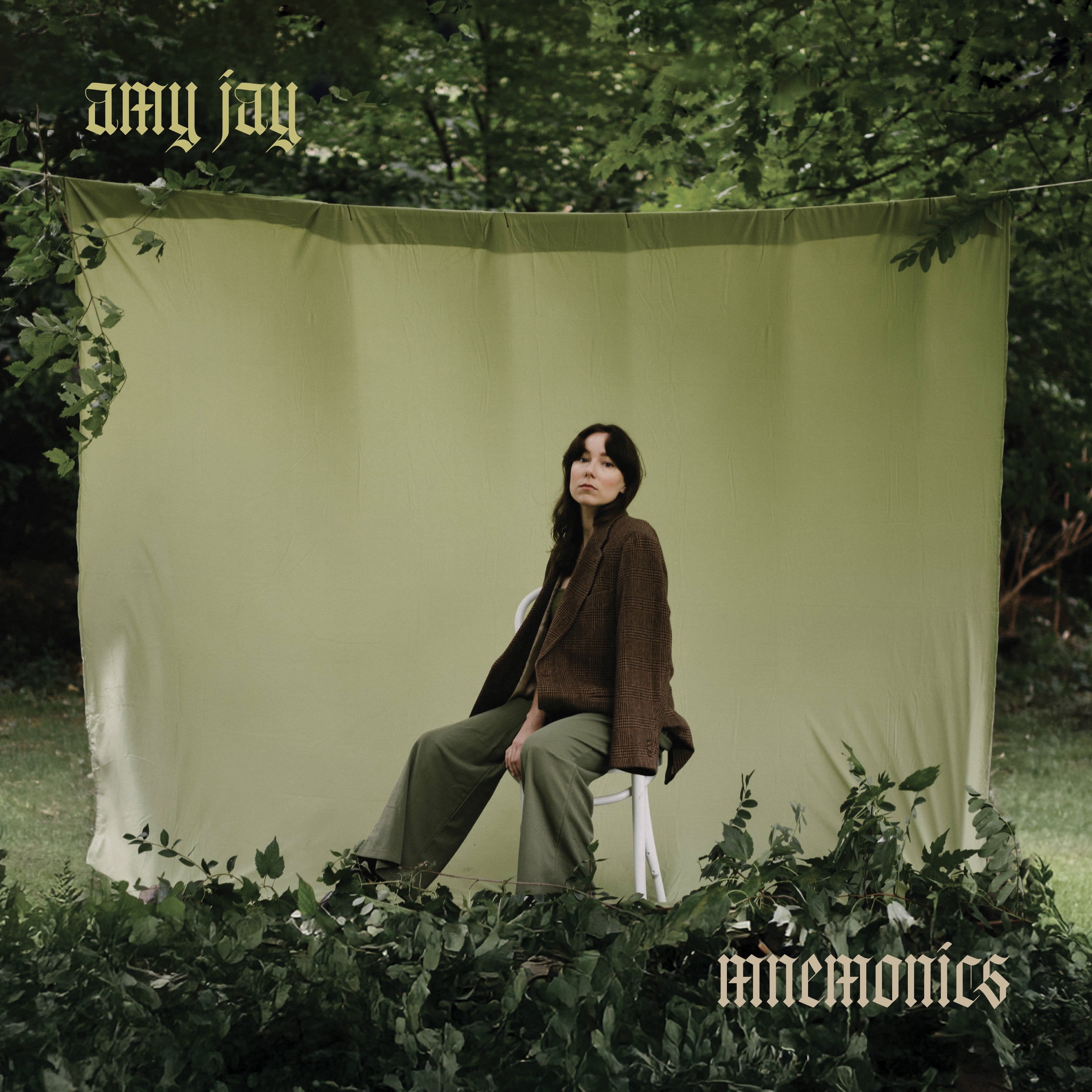 Amy Jay - Mnemonics - Music & Performance - CD - Walmart.com