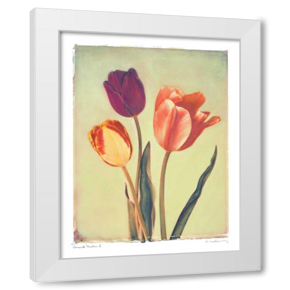 Amy Melious 12x14 White Modern Wood Framed Wall Art Titled - Concerto ...