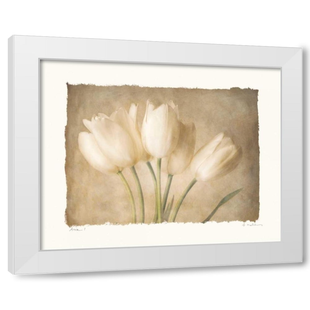 Amy Melious 18x15 White Modern Wood Framed Wall Art Titled - Aria I ...