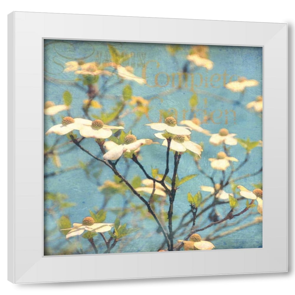 Amy Melious 20x20 White Modern Wood Framed Wall Art Titled - Dogwood I ...