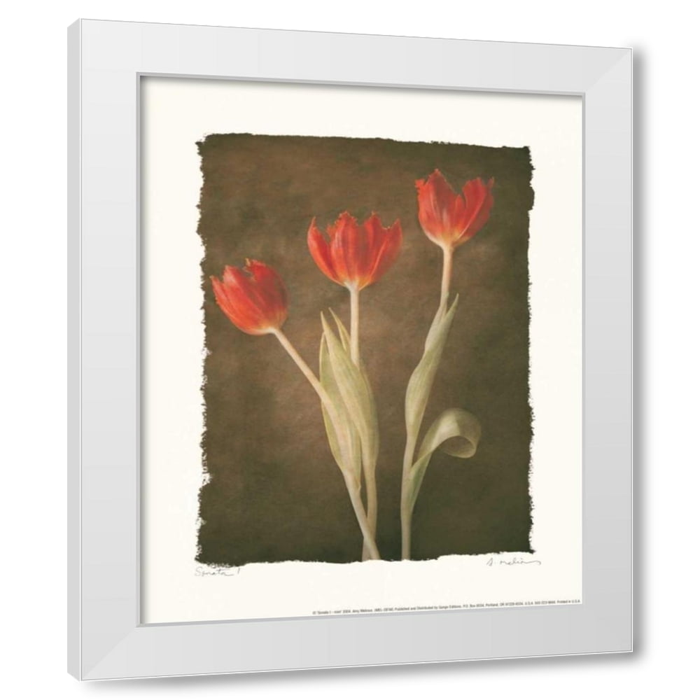 Amy Melious 20x24 White Modern Wood Framed Wall Art Titled - Sonata I ...